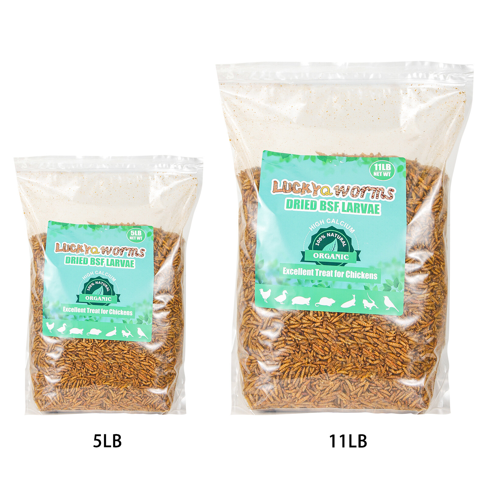 Dried Black Soldier Fly Larvae Chickens Feed Birds Treats Natural Food ...