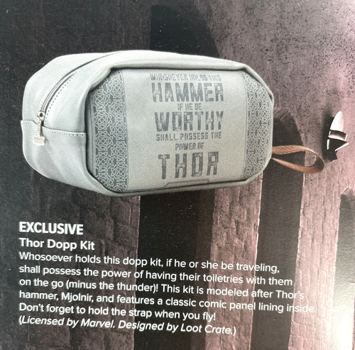Thor's Hammer Travel Toiletry Bag Marvel Loot Crate DX Exclusive NEW ...