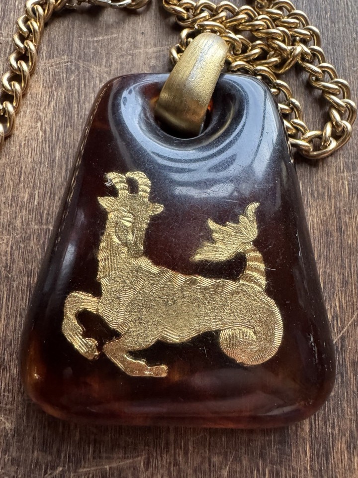 Capricorn Zodiac Helena Rubenstein Zodiac Lucite Necklace 27 Inch Chain ...
