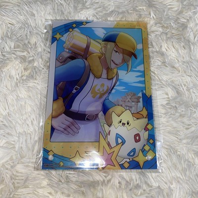 Wolo Pokemon Acrylic Panel | eBay