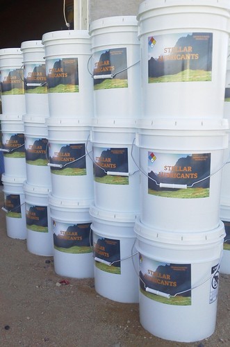 5 Gallons Stellar Lubricants Orange Scented Oil For Rock Saws Lapidary ...