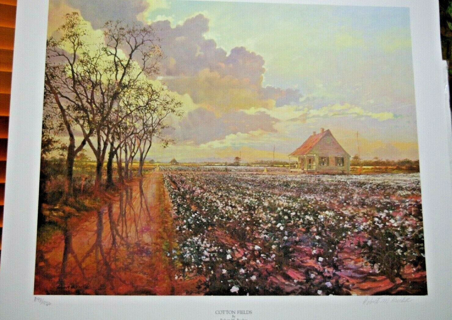 Robert Rucker "Cotton Fields" Signed & Numbered Print | eBay
