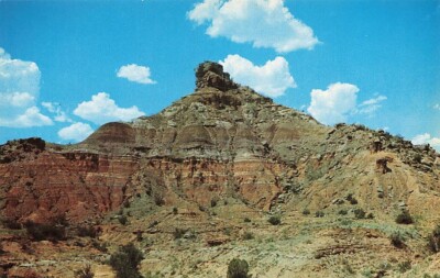 Postcard Sad Monkey Palo Duro Canyon Amarillo Texas | eBay