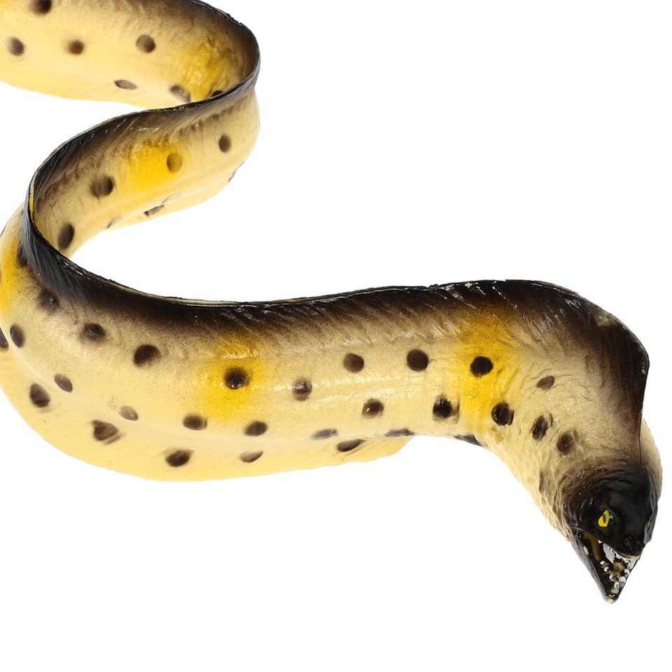 Animal Figure Highly Simulated Sea Eel Model Realistic Moray Eel Toy ...