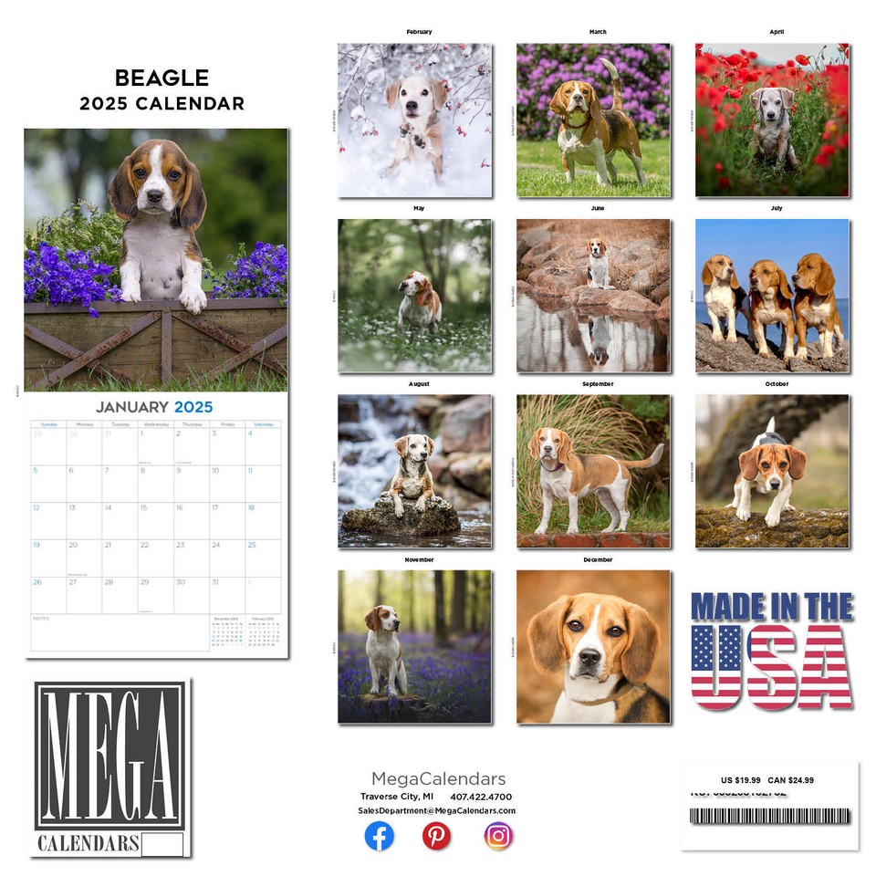 Beagle Calendar 2025 - Dog Breed Wall Calendar - Made in the USA! | eBay