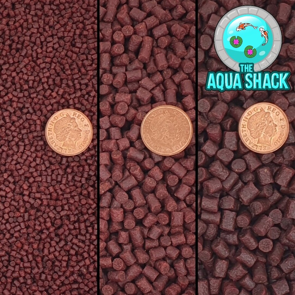 Premium Super Red Shrimp Pellets - Sinking Sturgeon Pond Fish Food Koi ...