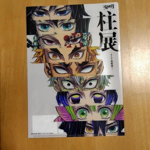 Kimetsu no Yaiba Hashira Exhibition Key Visual Clear File Tokyo Used ...