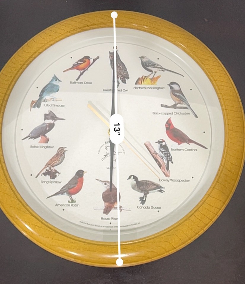 National Audubon Society Quartz Clock with Chiming Birds on the Hour ...