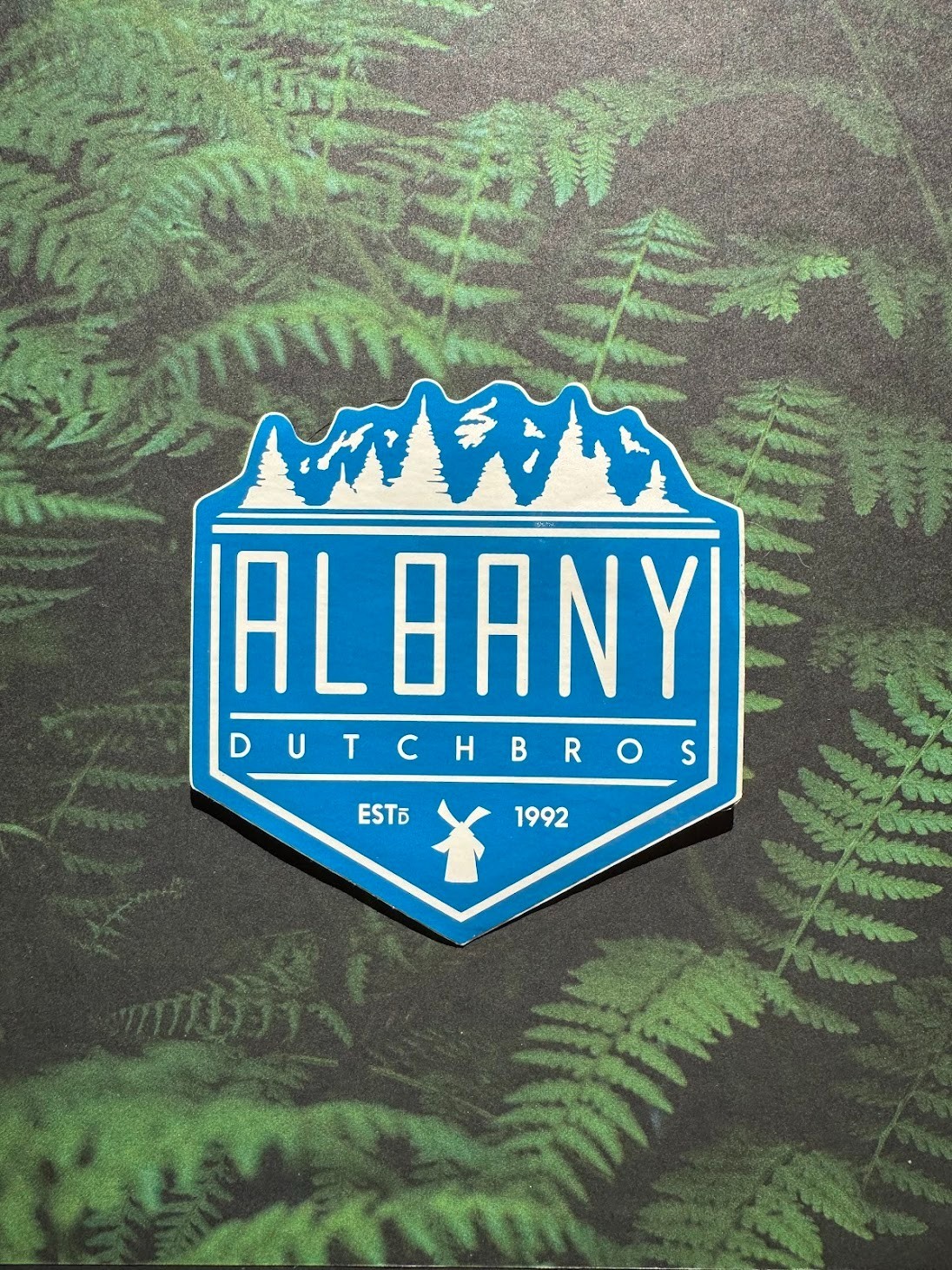Dutch Bros Regional Sticker - Albany, OR | eBay