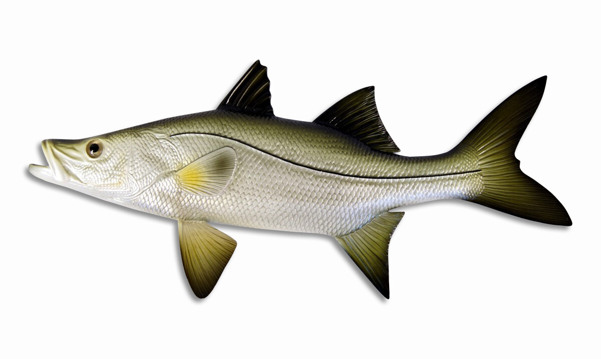 Hand Painted 28" Snook Fish Salt Water Fishing Wall Mount Decor ...