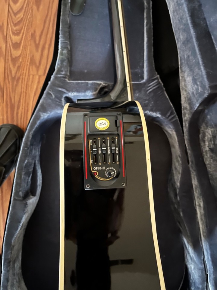 Estaban / Guitar , acoustic / electric / W/case and strap | eBay