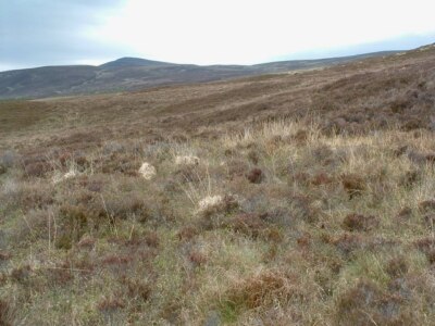 Photo 6x4 Heathery hillside West Clyne The map indicates there are ...