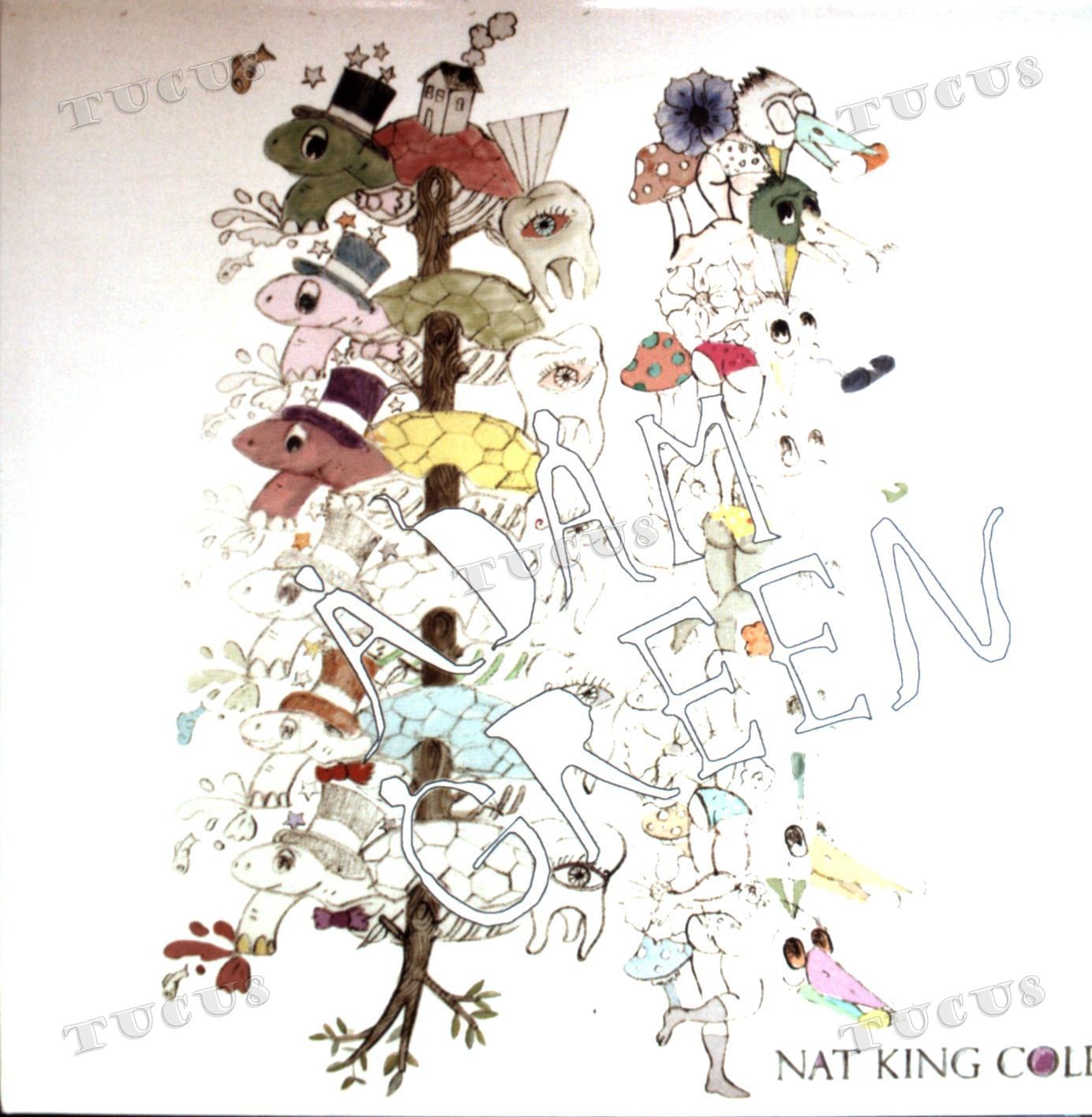 Adam Green - Nat King Cole 7" (VG+) '* | eBay UK