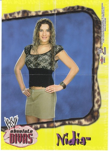 * NIDIA * WWE ABSOLUTE DIVAS 5x7" Frameable MINI POSTER 2002 Fleer | eBay