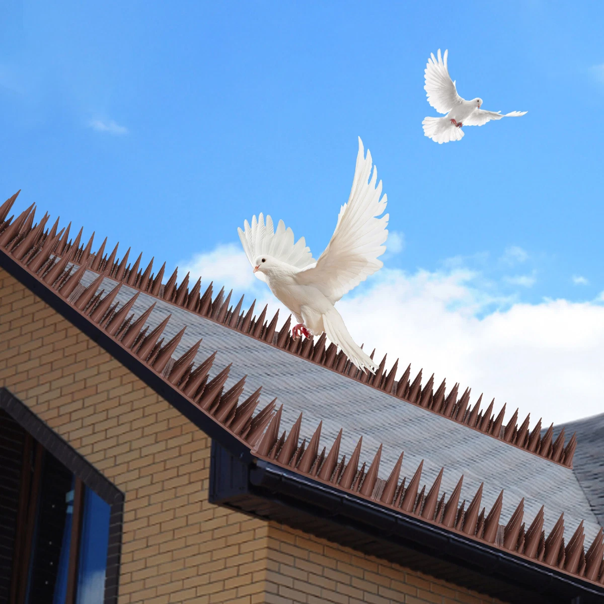 Roof Spikes For Birds