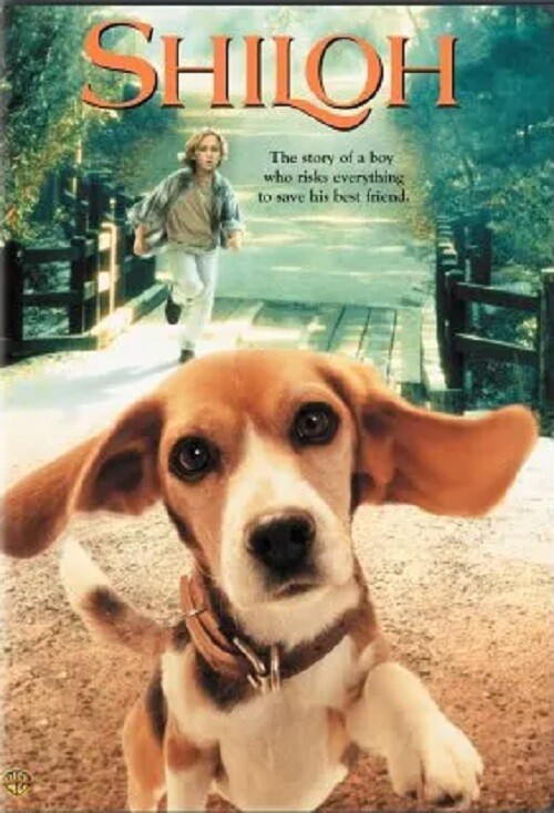 DVD Mania Pick Your Movies Disney Dogs Cats Animals Nature Combined ...