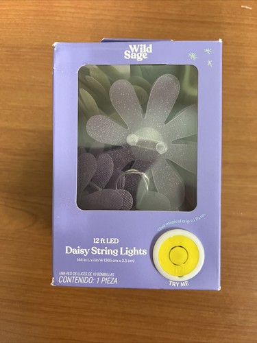 Wild Sage Daisy String Lights Decorations Hanging Decor Purple 22045 | eBay