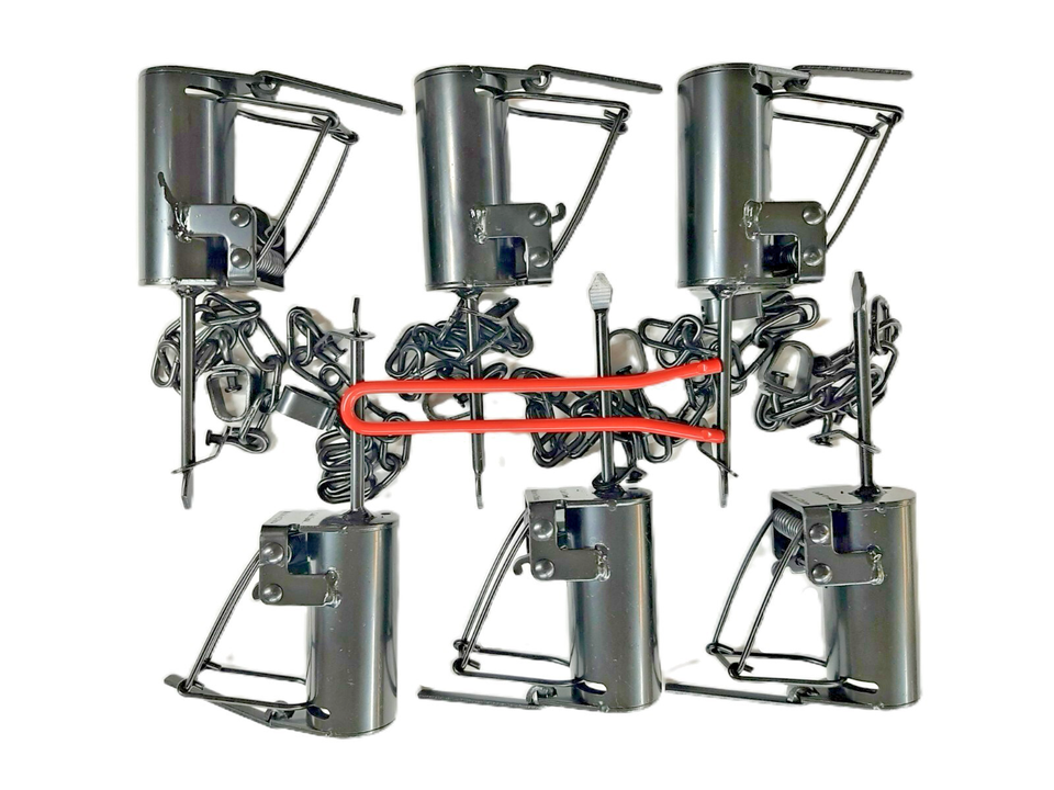 6, Brand New Cold Creek, Dog proof raccoon traps, coon, DP with setting ...