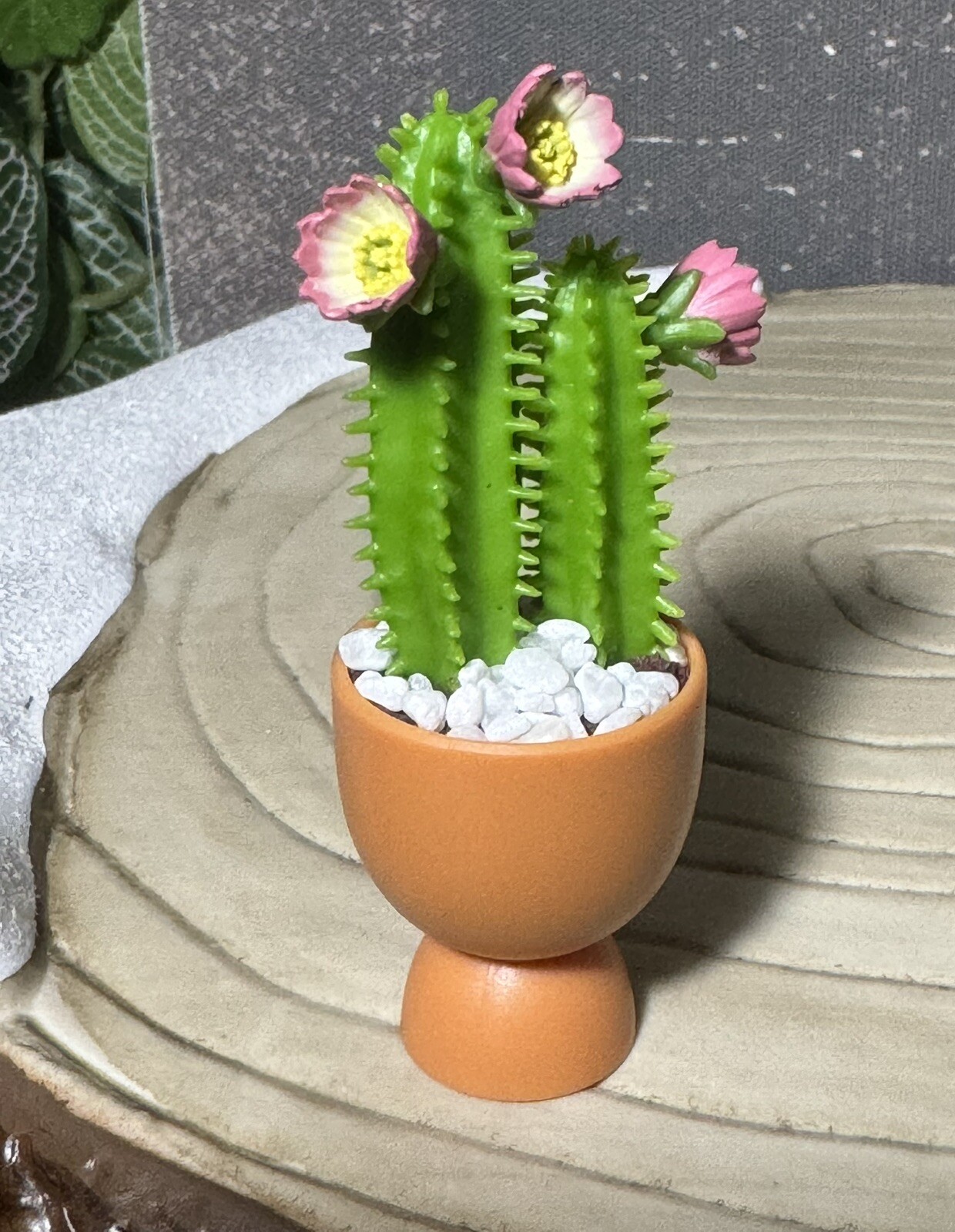 New! MINIVERSE Miniature CACTUS TWINS ~No resin~ | eBay