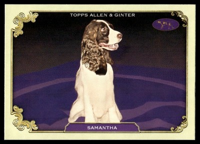 Samantha 2024 Topps Allen & Ginter Stars Of The Show Westminster Kennel ...