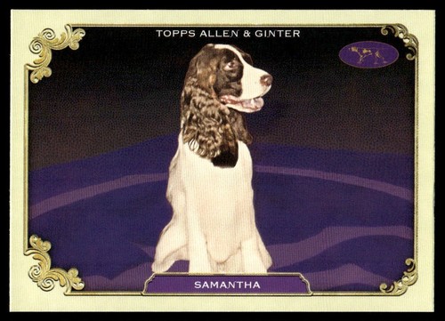 Samantha 2024 Topps Allen & Ginter Stars Of The Show Westminster Kennel ...