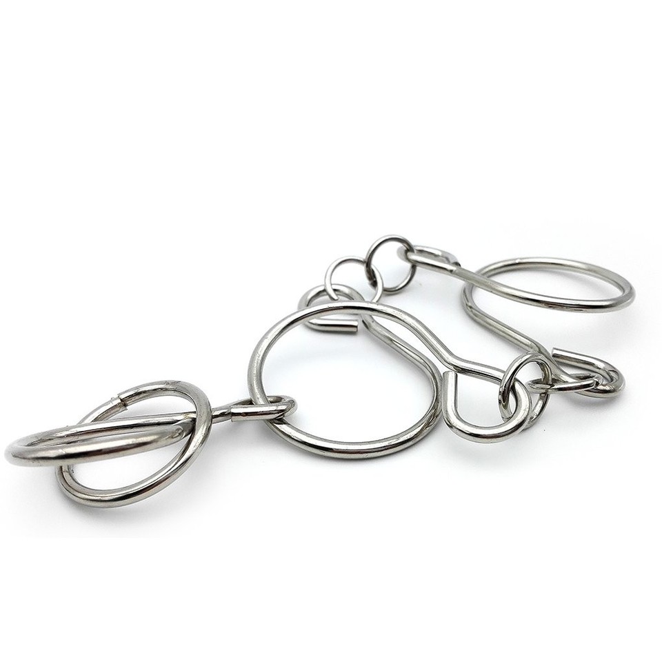 Set of 4 Advanced IQ Toys Brain Teasers Metal Puzzles Magic Trick Toy ...