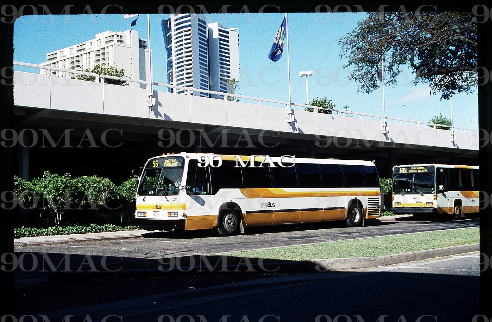 THE BUS. TMC RTS BUS #211. Honolulu (HI). Original Slide 1994. | eBay