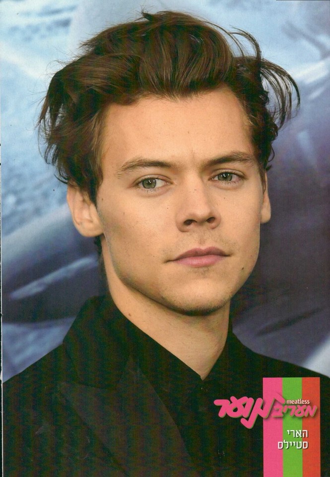 Harry Styles Israeli Magazine POSTER Edwards Pinup 1D ONE DIRECTION ...