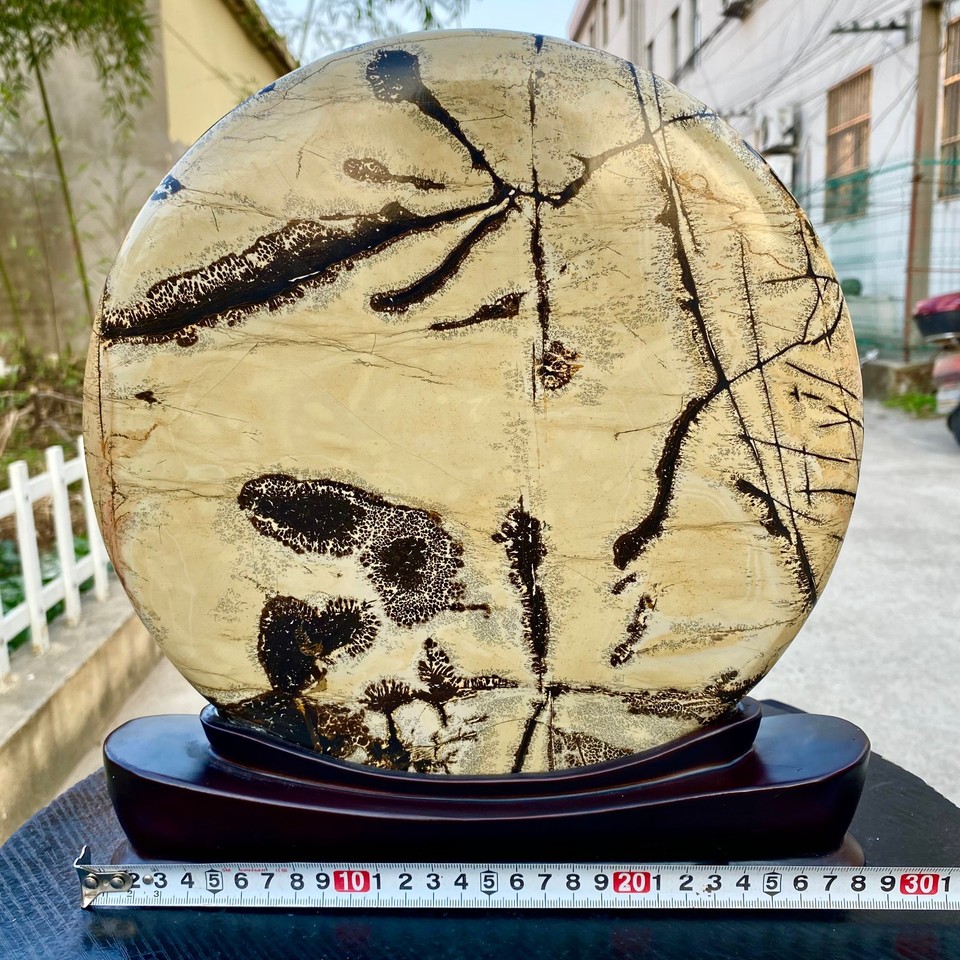 9.56LB Beautiful Natural Chinese Dendritic Limestone Picture Stone ...