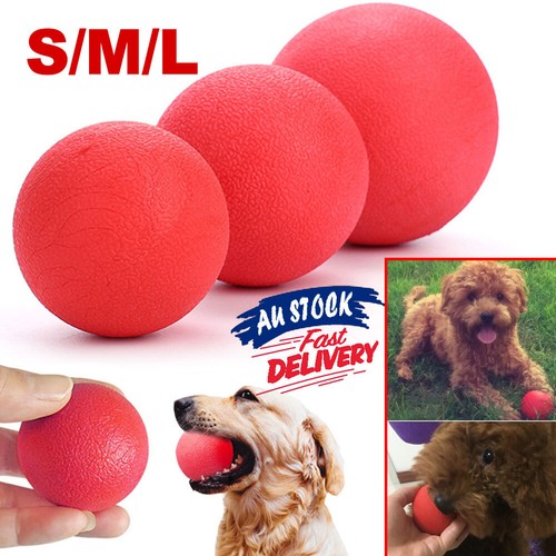Pet Rubber Ball Training Toy Solid Chew Play Indestructible Dog Puppy ...