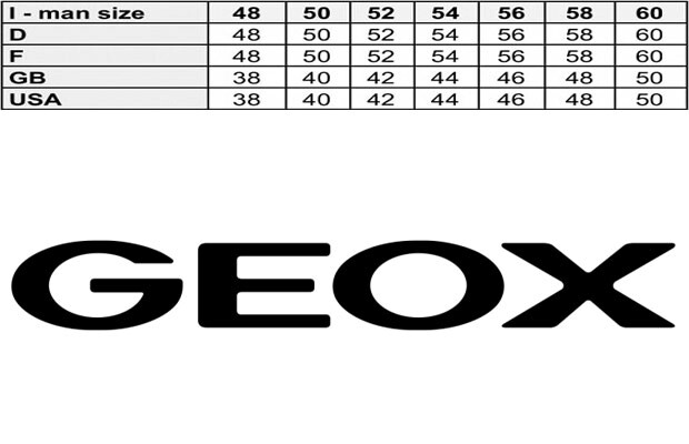 Geox Logo Png