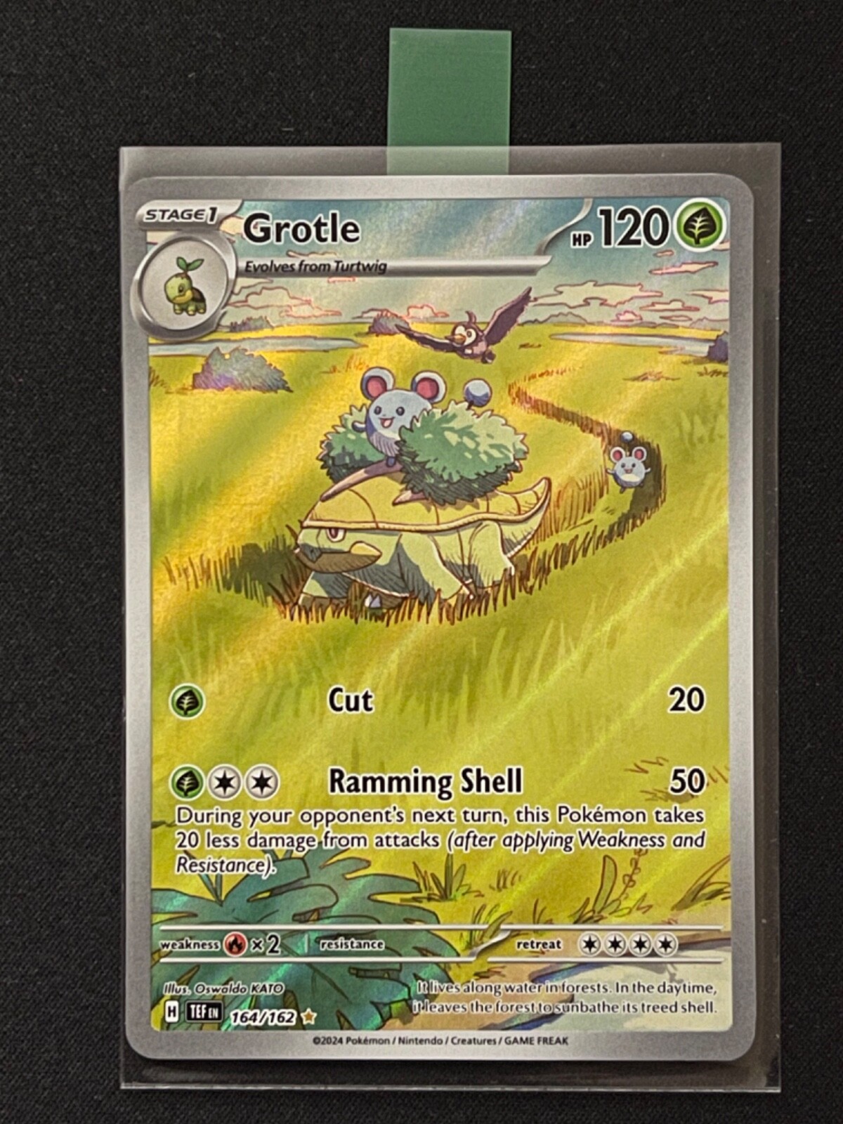 Pokemon TCG Temporal Forces Grotle Illustration Rare Holo Card 164/162 ...