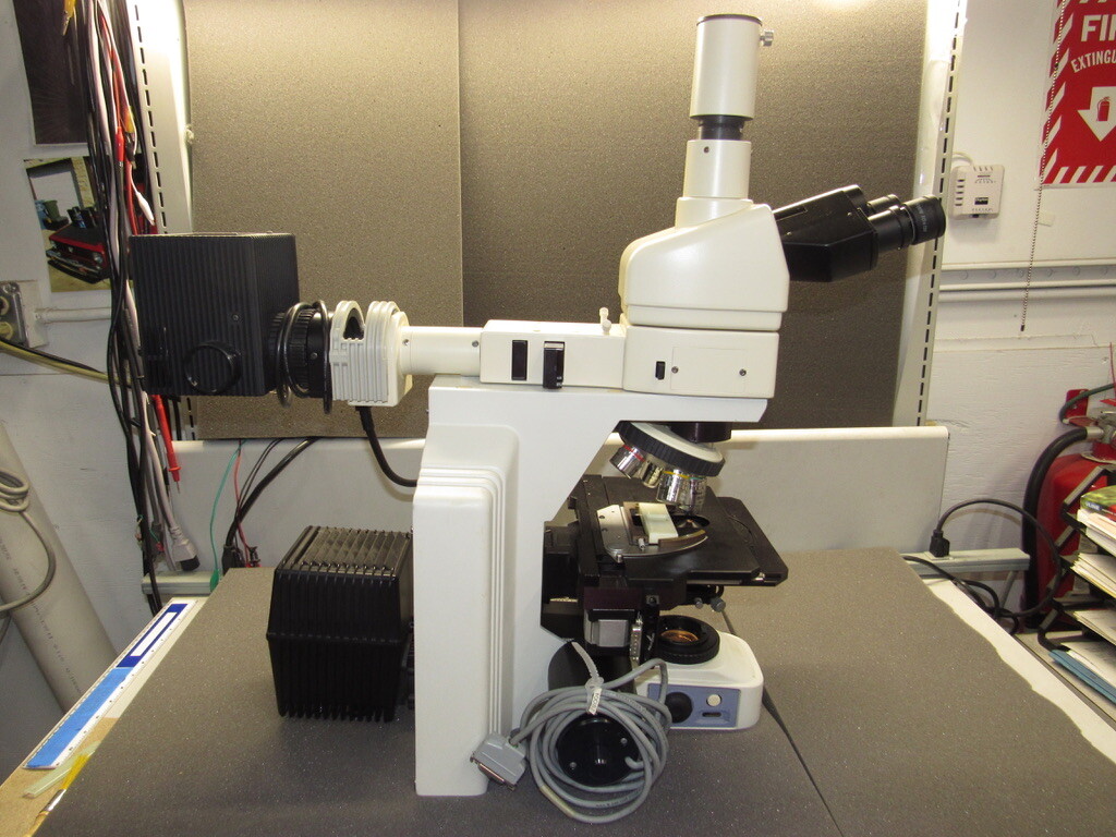 NIKON Eclipse E600 Flourescence Microscope 120V 2.4A W/ Power Supply & Accs | eBay