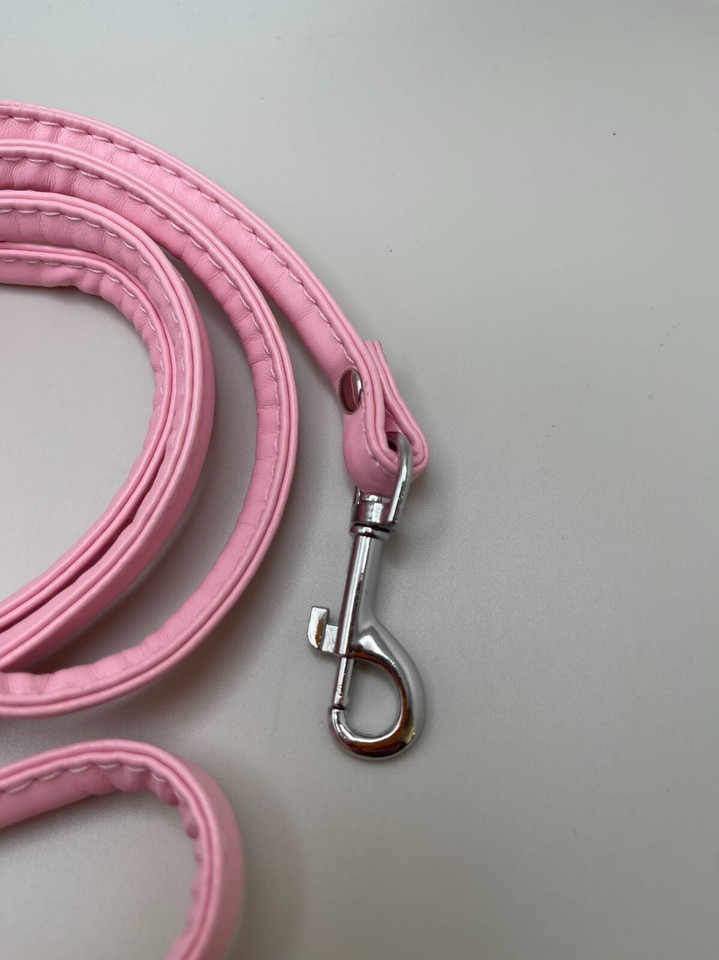 4ft Dog Walking Training Leash Strap Loop w/Leash Clip for Small-Medium ...