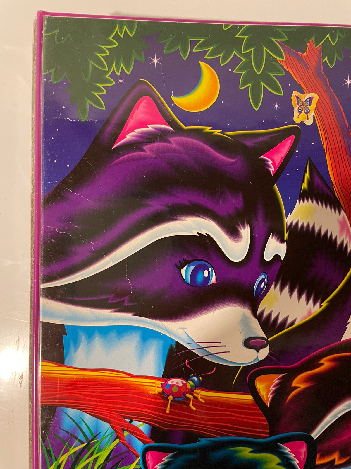 RARE Vintage 1990s Lisa Frank Raccoon Family of Four Trapper Keeper ...