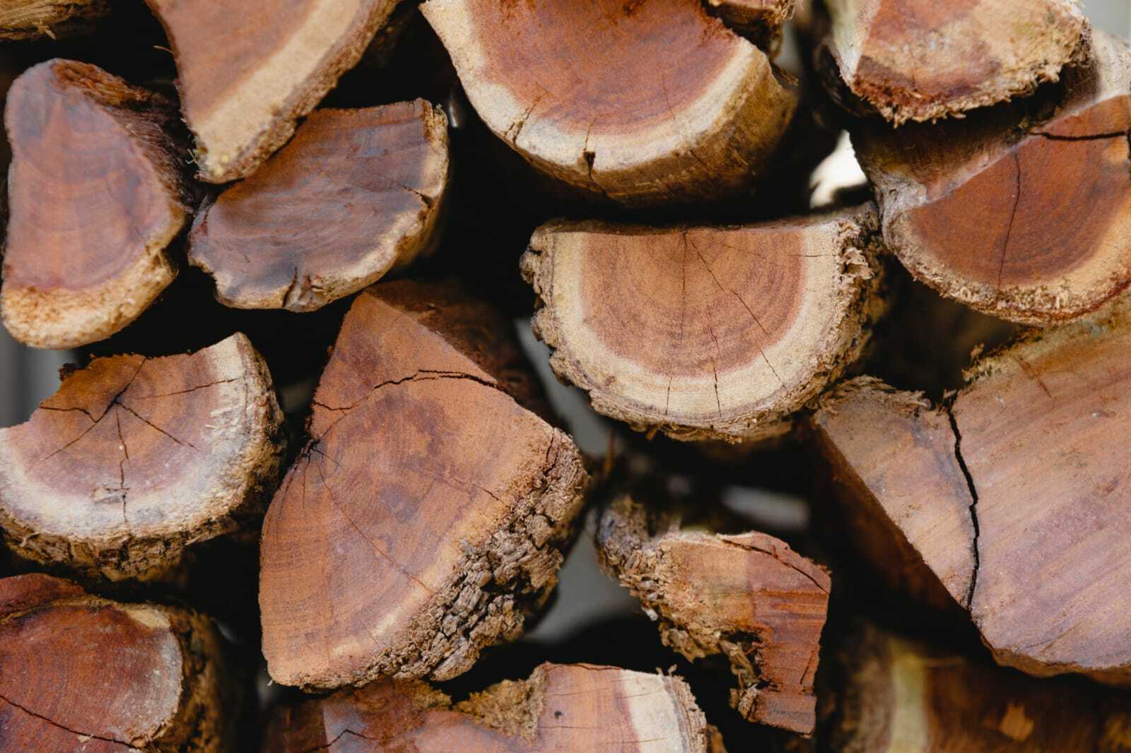 Sekelbos Braai Wood | eBay UK