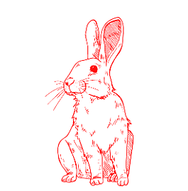 Red Rabbit Rare Books | eBay Stores