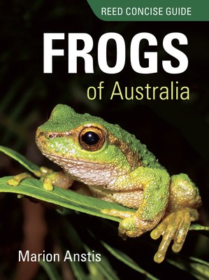 Reed Concise Guide: Frogs of Australia: Reed Concise Guide by Marion ...