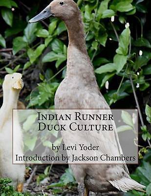 Indian Runner Duck Culture by Levi Yoder (2016, Trade Paperback) for ...