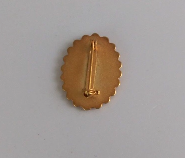 ABWA Woman Of The Year Jeweled Gold Tone Lapel Hat Pin | eBay