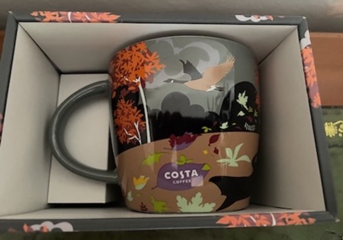 Rare Costa Coffee Autumn Boxed Seasonal Mug | eBay UK