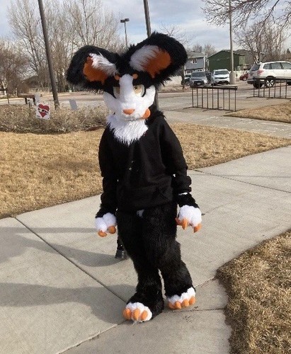 Fursuit Costume, 3/4th Furry Head Tail And Bodysuit Fursona Ringtail ...