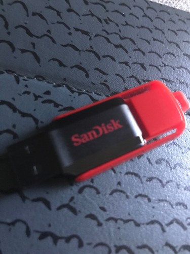 SanDisk Cruzer Switch 32GB USB Flash Drive for sale online | eBay