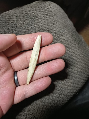 Authentic oregon Bone Projectile Point Indian Arrowhead Artifact COA | eBay