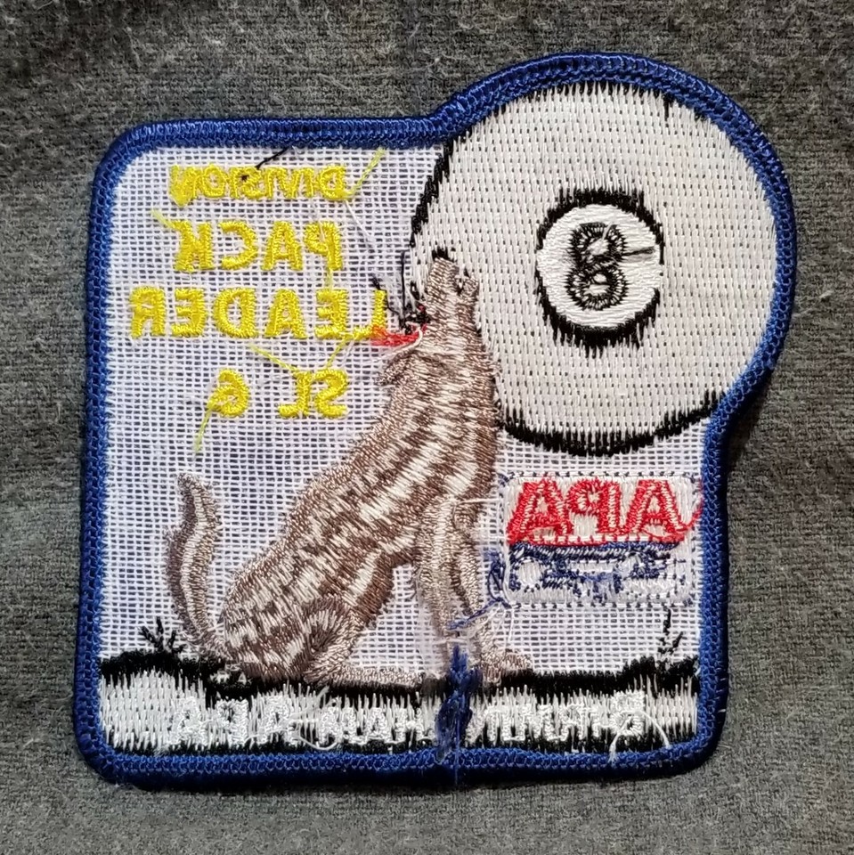 LMH Patch APA PACK LEADER 8 Ball Pool Players Award SL 6 Skill Level ...