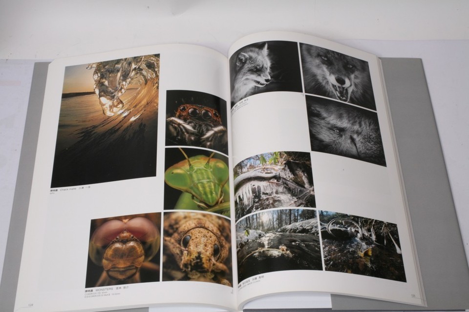USED BOOK Nikon Nikon Nikkor Yearbook 2015-16 Annual! | eBay