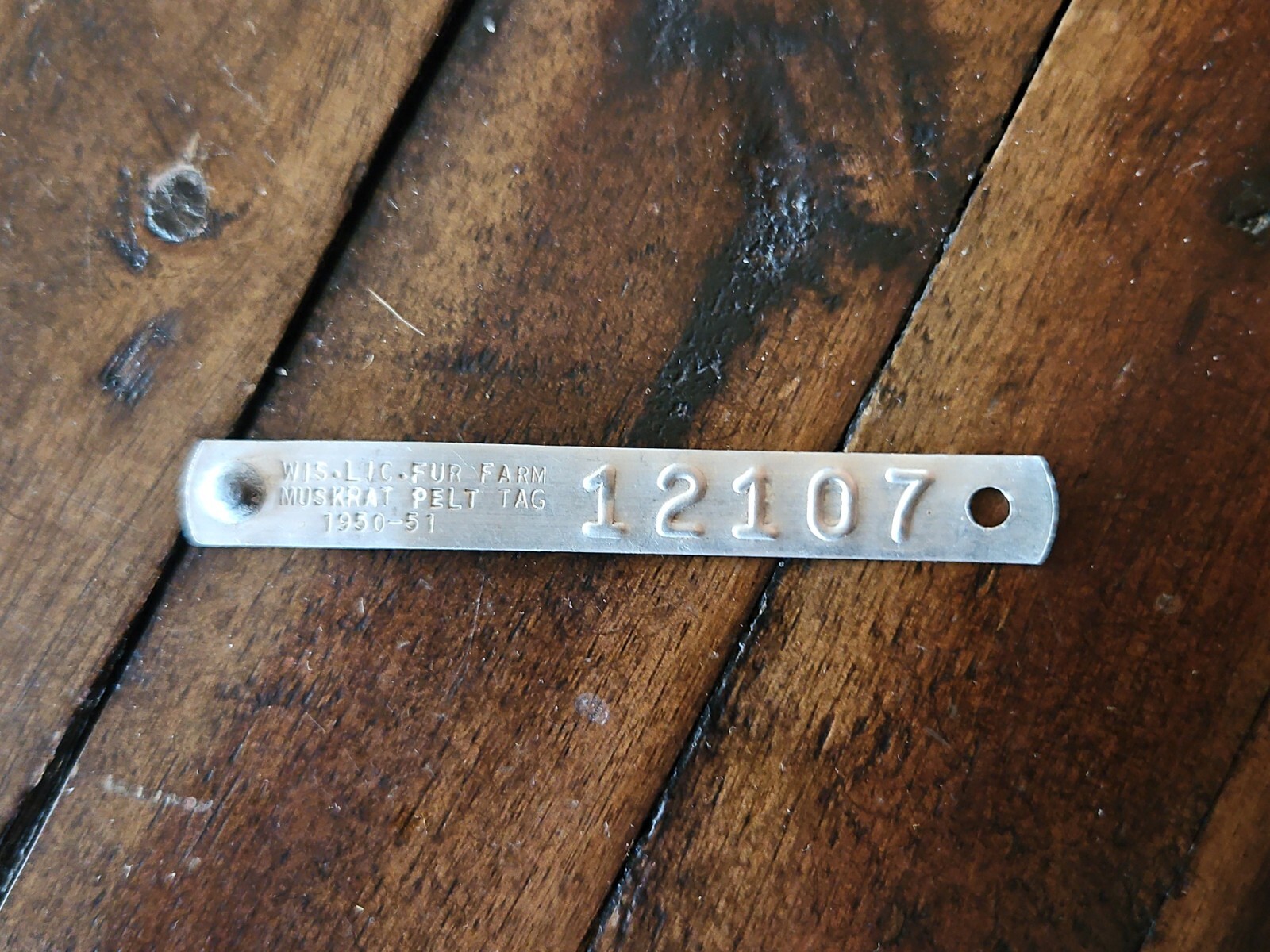 VTG 1950 - 51 Wisconsin Fur Farm Trap Tag Hunting License MUSKRAT PELT ...