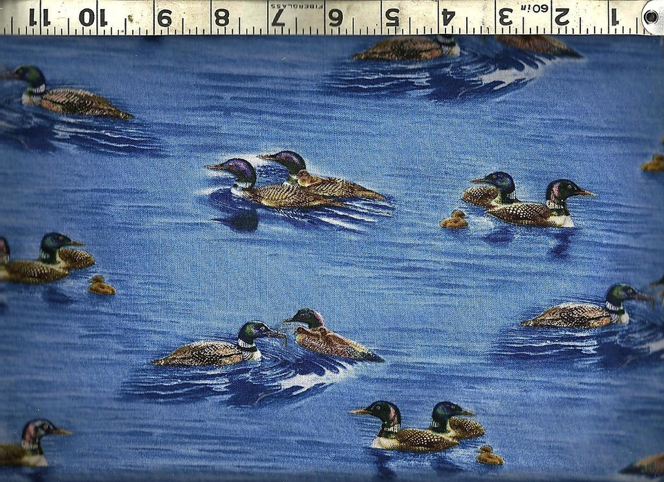 Quilting Treasures ~ Lakeside Realistic Loons ~ 100% Cotton Quilt ...