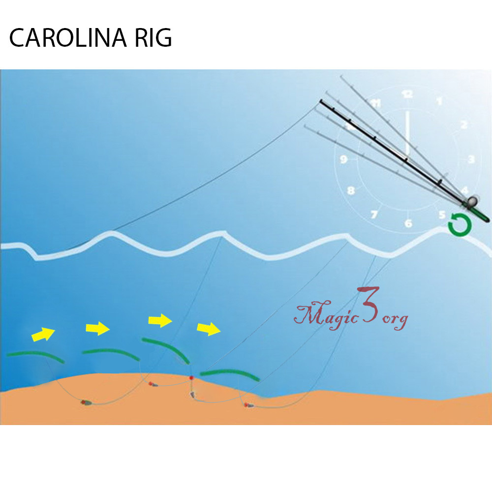 Lot 10/30 Wacky Worm Floating Lures Float Softbait Texas Rig Carolina ...