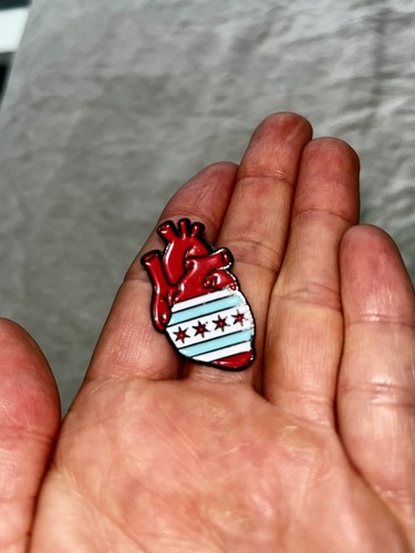 Anatomical Heart Pin With Chicago Flag | eBay